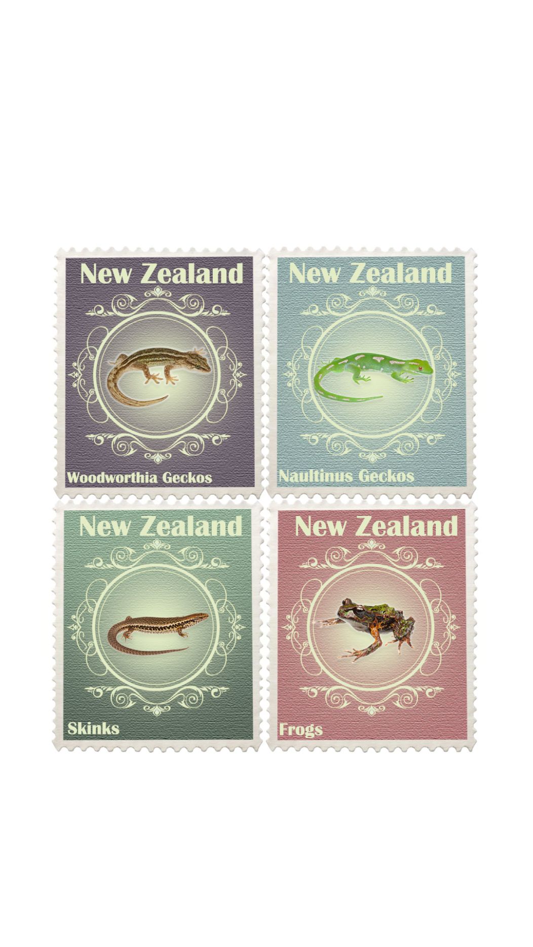 Aotearoa's vanishing species: Creatures great and small